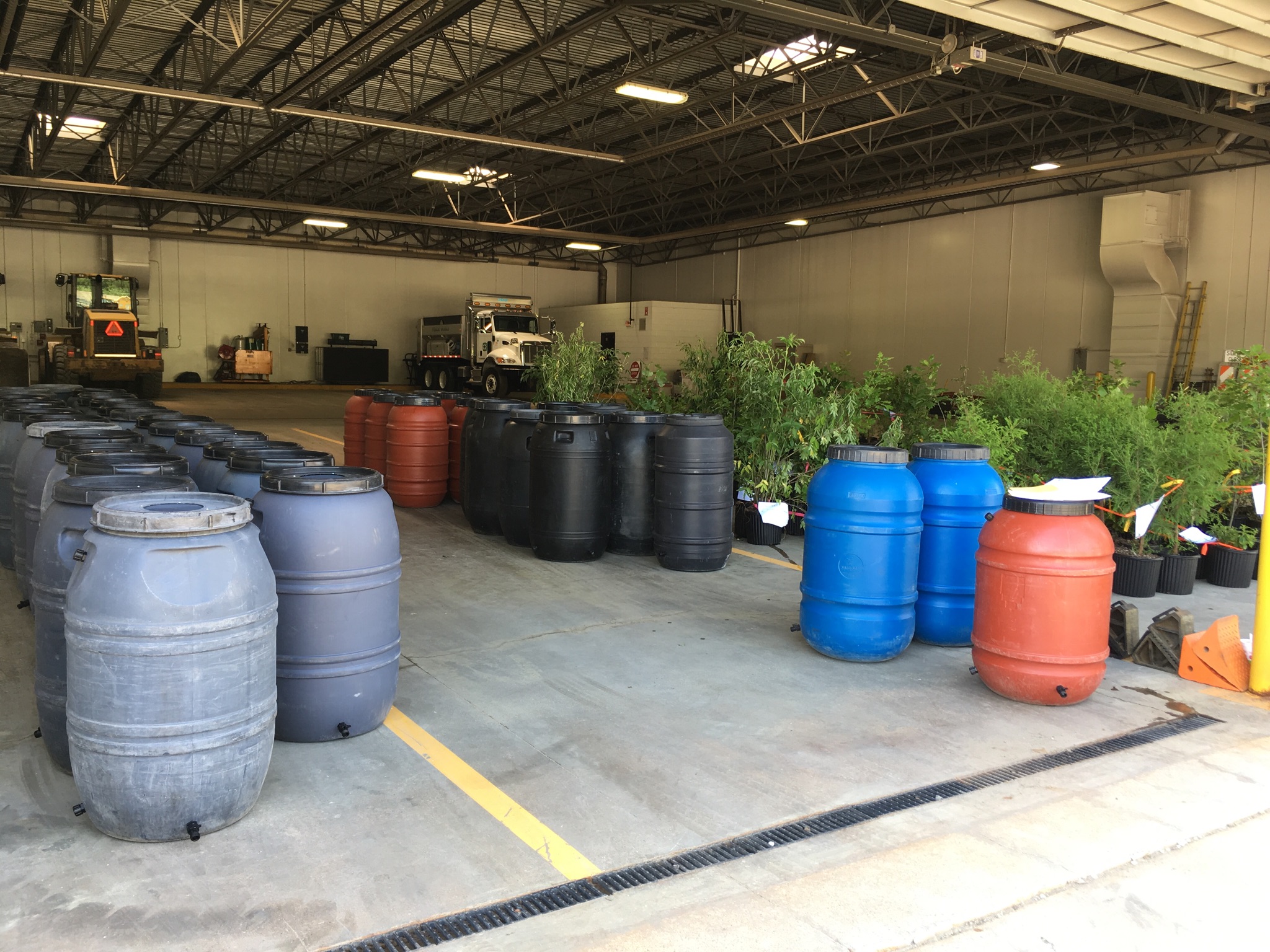 Images - Downers Grove Rain Barrel Event & Plant sale.jpg...