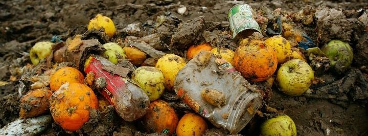 Images - food-waste-landfill.jpg